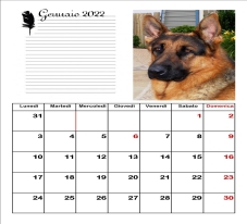 calendari 2022 